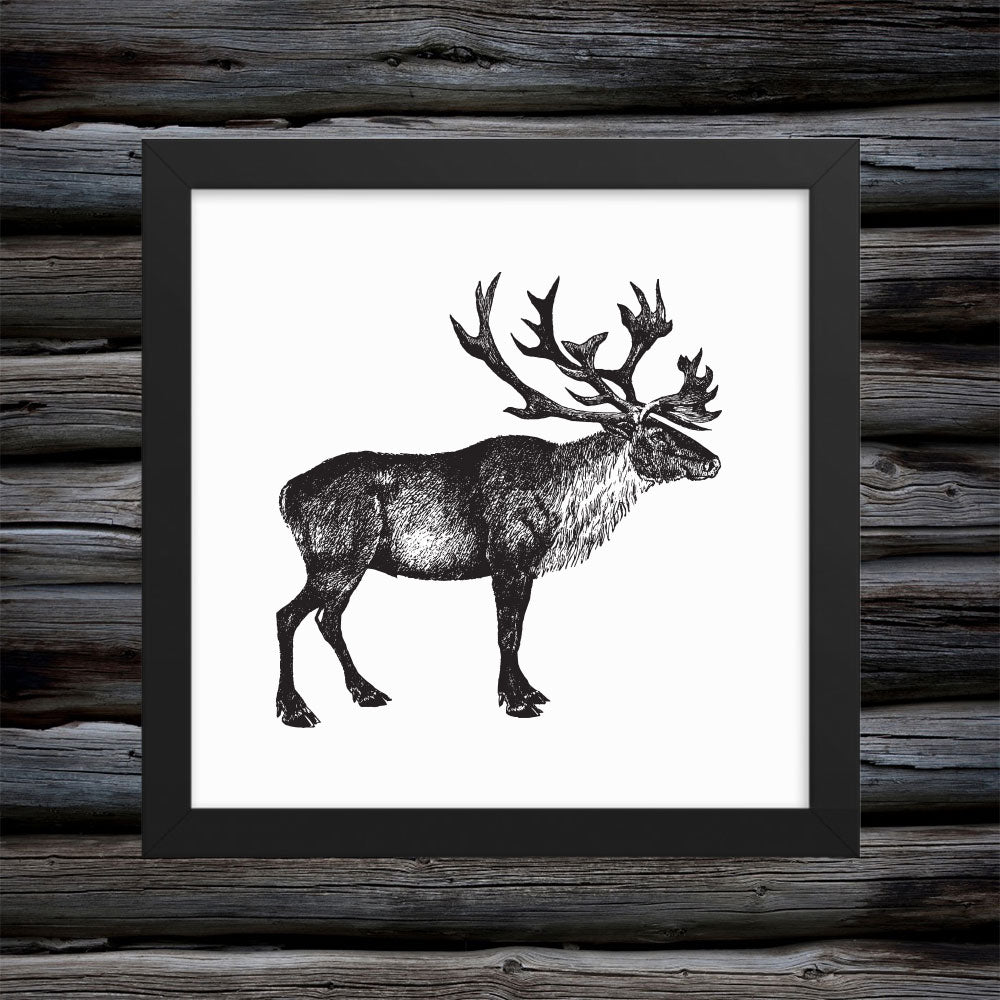 Rustic Caribou Naturalist Print | JBicklesbee