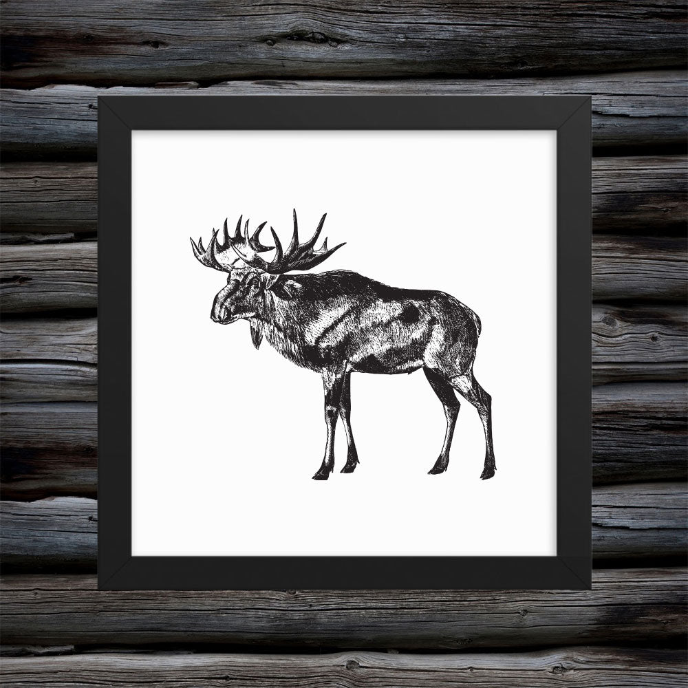 Rustic Moose Naturalist Print | JBicklesbee
